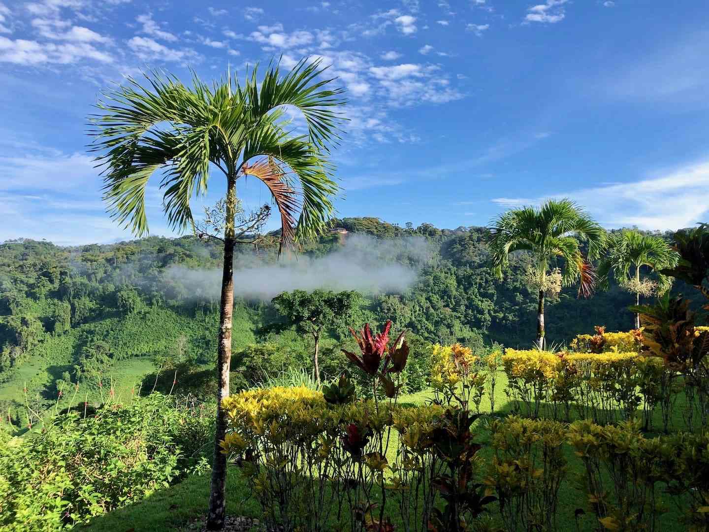 Income Producing Condos with 10 Units, Shared Pool & Spectacular Ocean ...