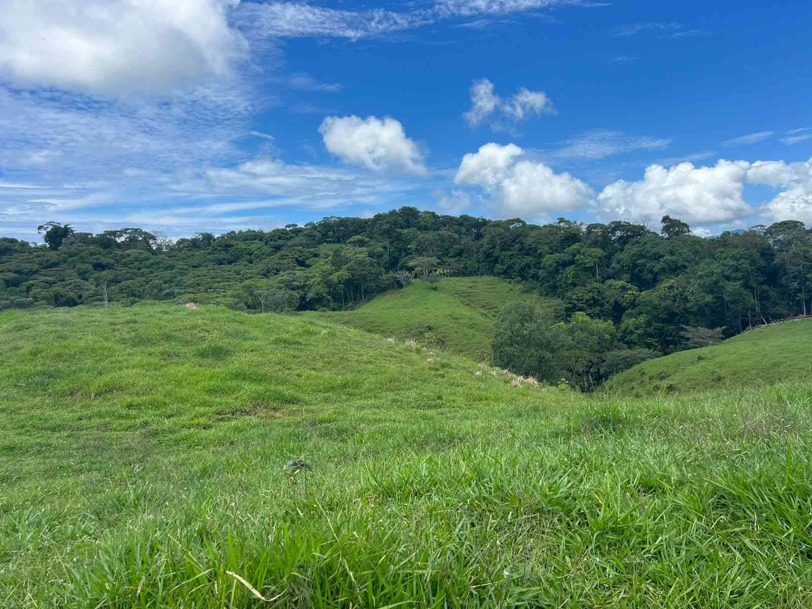 Beautiful 47-Acre Mountain View Farm with Many Water Sources & Many ...
